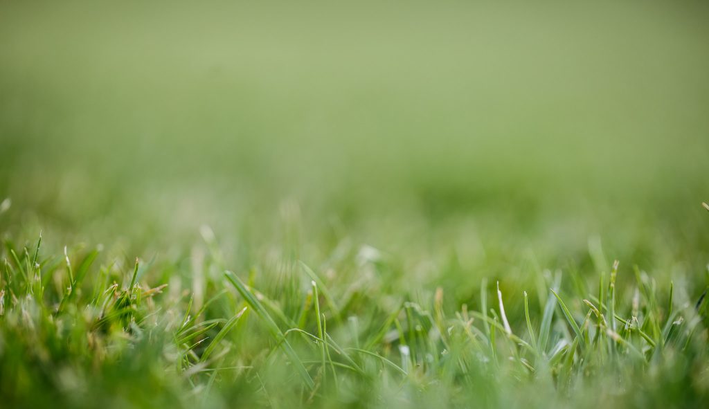 Rasenerde & Technische Substrate für grüne Flächen - Corthum